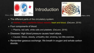 The circulatory system of mammals grade 9 ns | PPT