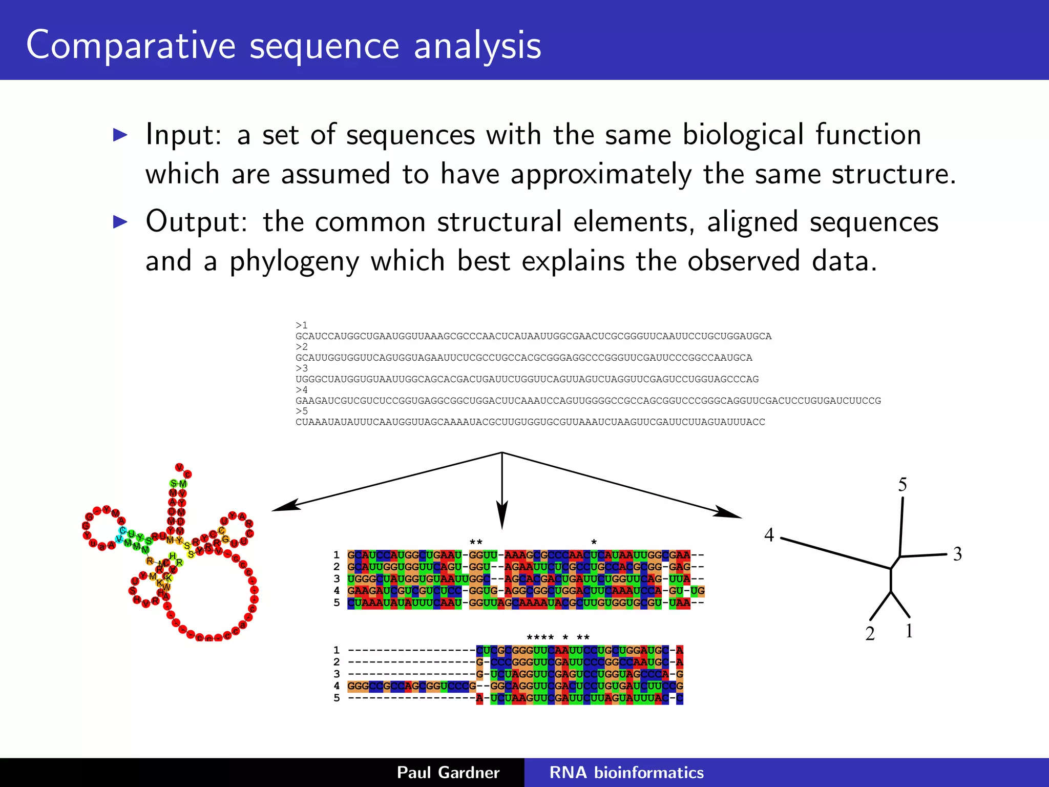 BIOL335: RNA bioinformatics | PDF | Programming Languages | Computing