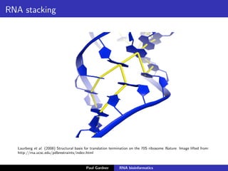 BIOL335: RNA bioinformatics | PDF