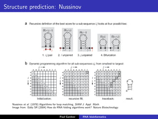 BIOL335: RNA bioinformatics | PDF | Programming Languages | Computing