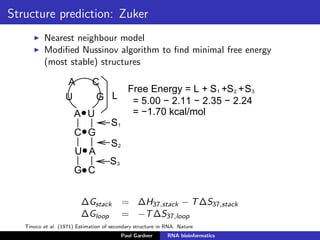 BIOL335: RNA bioinformatics | PDF | Programming Languages | Computing