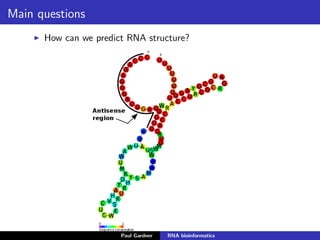 BIOL335: RNA bioinformatics | PDF | Programming Languages | Computing