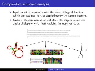 BIOL335: RNA bioinformatics | PDF | Programming Languages | Computing