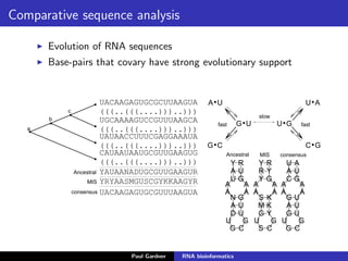 BIOL335: RNA bioinformatics | PDF | Programming Languages | Computing