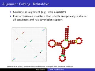 BIOL335: RNA bioinformatics | PDF | Programming Languages | Computing
