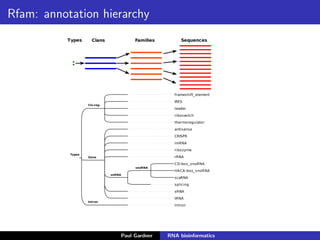 BIOL335: RNA bioinformatics | PDF | Programming Languages | Computing
