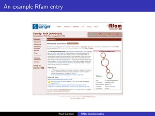 BIOL335: RNA bioinformatics | PDF