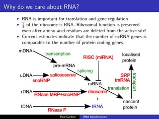 BIOL335: RNA bioinformatics | PDF | Programming Languages | Computing