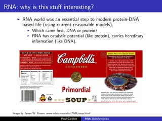 BIOL335: RNA bioinformatics | PDF | Programming Languages | Computing
