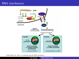 BIOL335: RNA bioinformatics | PDF | Programming Languages | Computing