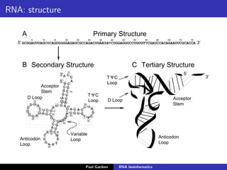 BIOL335: RNA bioinformatics | PDF | Programming Languages | Computing