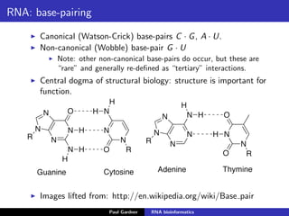 BIOL335: RNA bioinformatics | PDF | Programming Languages | Computing