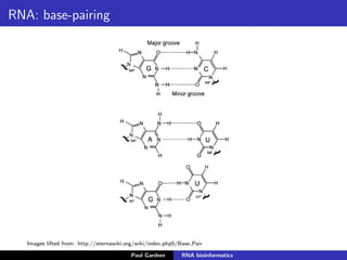 BIOL335: RNA bioinformatics | PDF | Programming Languages | Computing