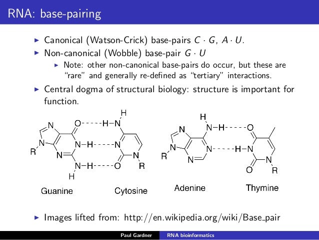 BIOL335: RNA bioinformatics