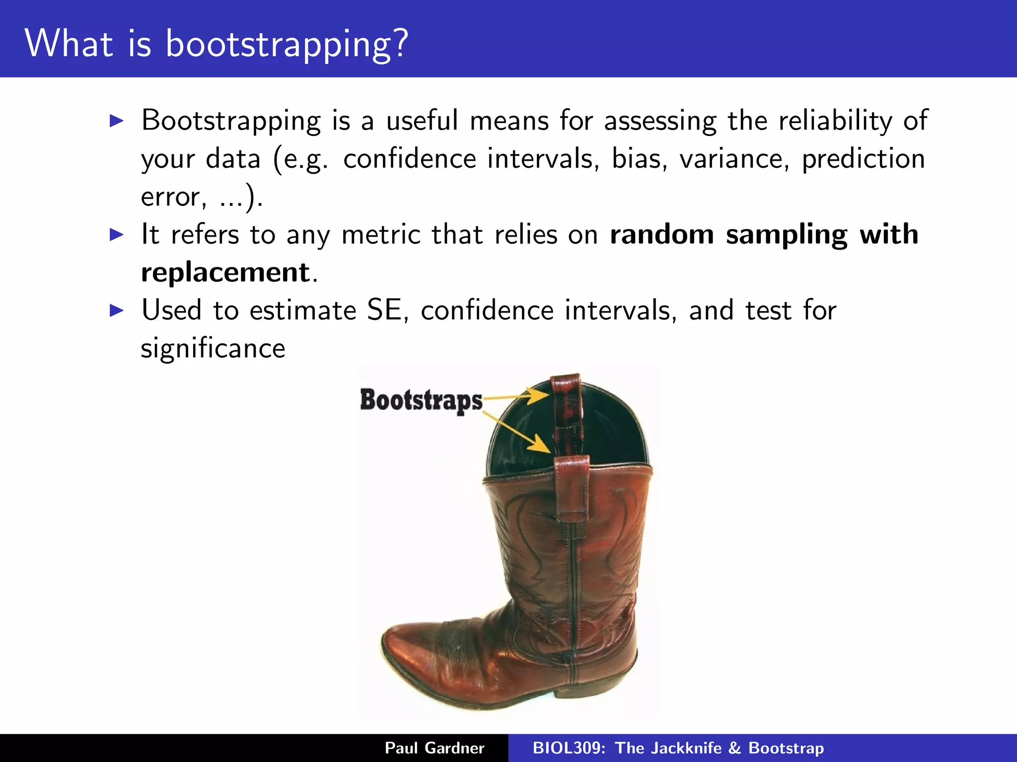 The jackknife and bootstrap | PDF