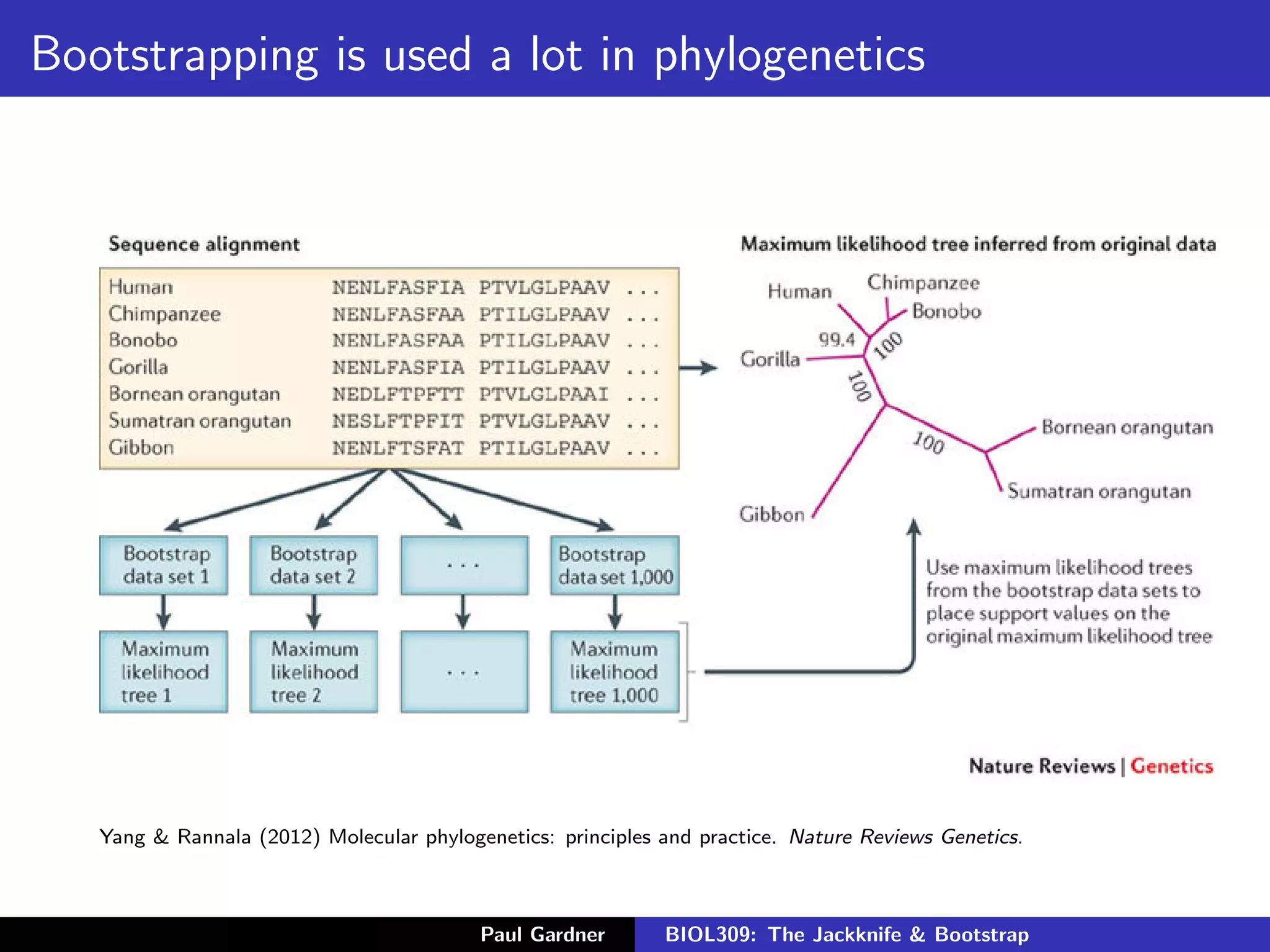 The jackknife and bootstrap | PDF