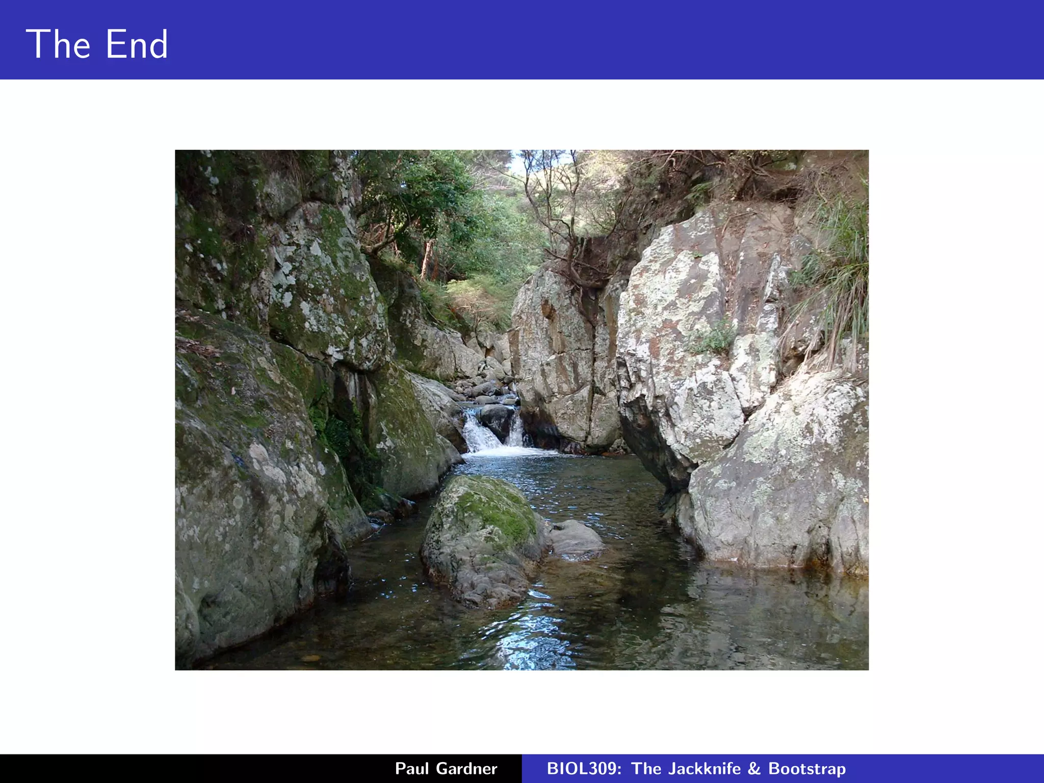 The jackknife and bootstrap | PDF