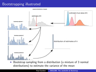 The jackknife and bootstrap | PDF