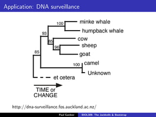 The jackknife and bootstrap | PDF