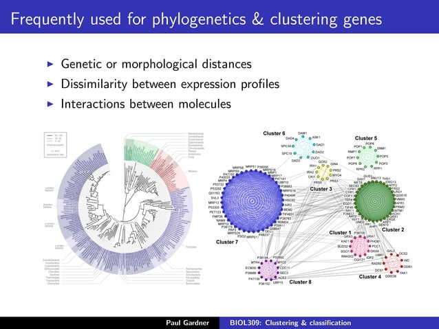 Clustering | PPT