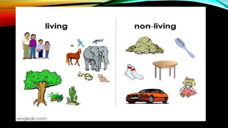 PP G3 SCIENCE alive and not alive .pptx