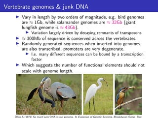 ppgardner-lecture03-genomesize-complexity.pdf