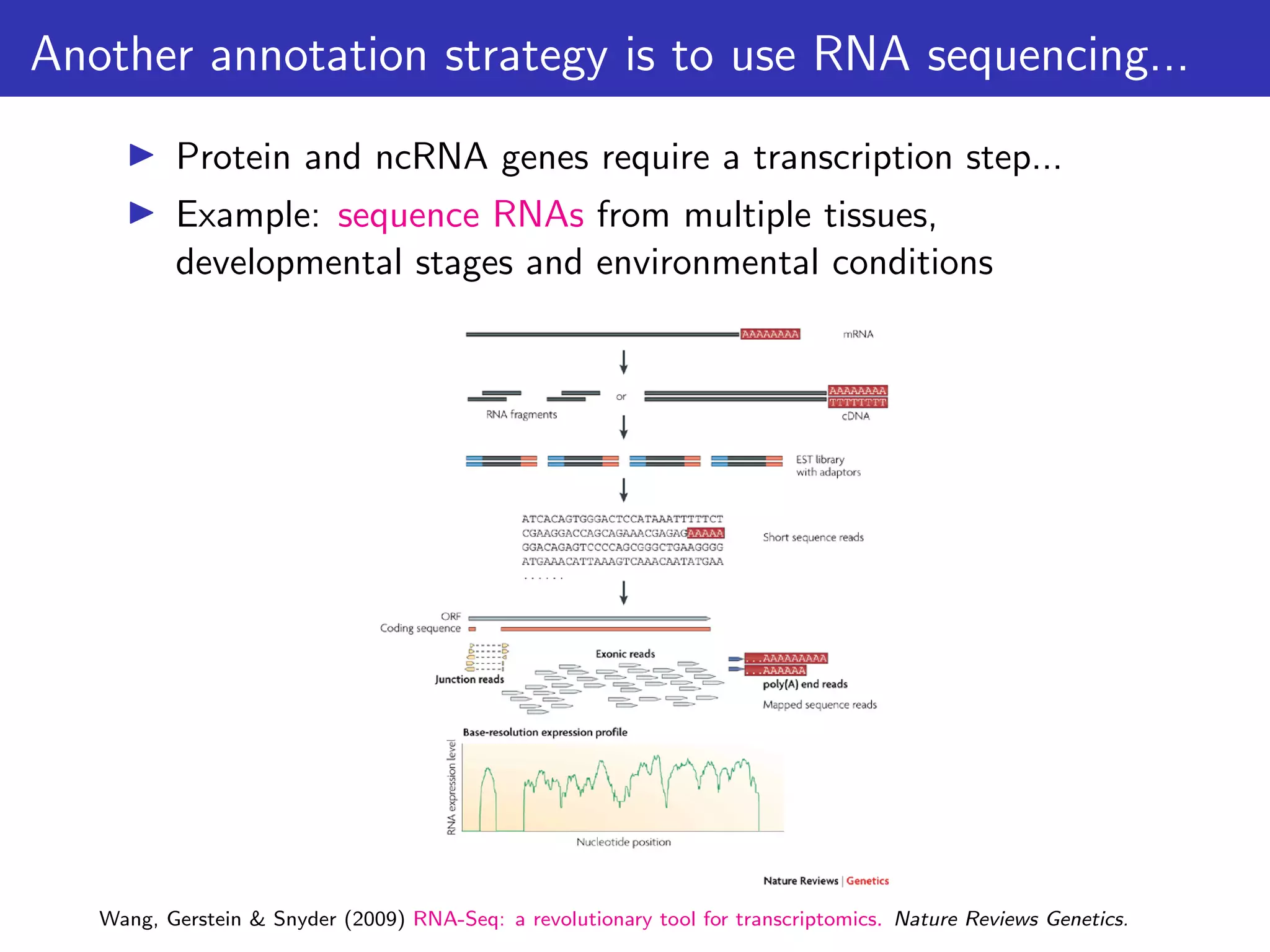 ppgardner-lecture04-annotation-comparativegenomics.pdf