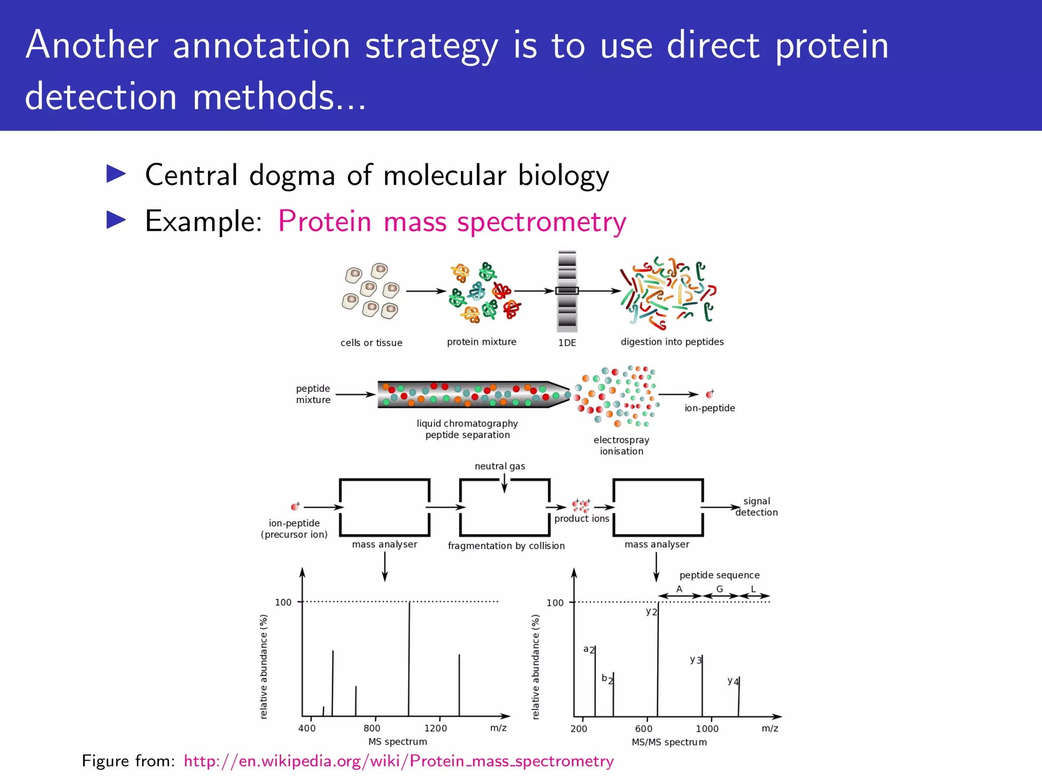 ppgardner-lecture04-annotation-comparativegenomics.pdf