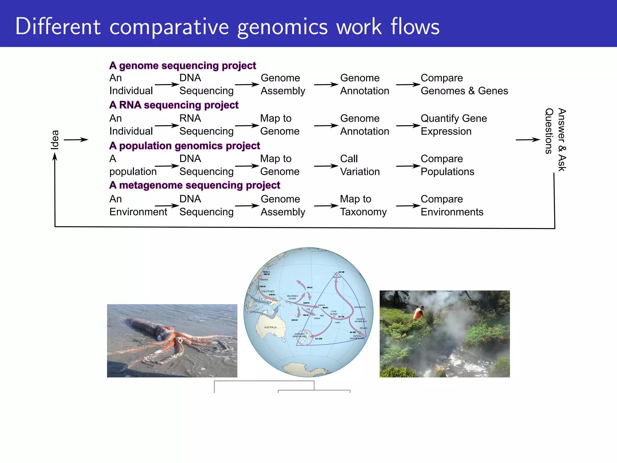 ppgardner-lecture04-annotation-comparativegenomics.pdf