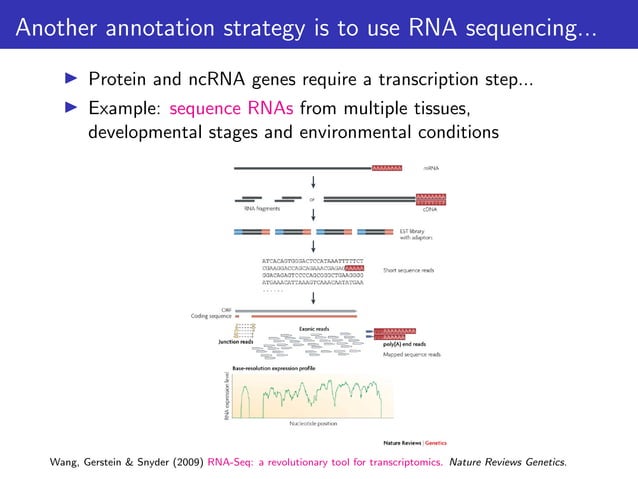 ppgardner-lecture04-annotation-comparativegenomics.pdf