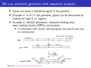 ppgardner-lecture04-annotation-comparativegenomics.pdf
