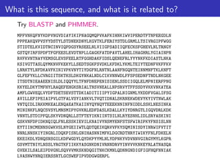 ppgardner-lecture05-alignment-comparativegenomics.pdf