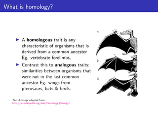ppgardner-lecture05-alignment-comparativegenomics.pdf | Biological ...