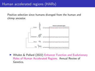 ppgardner-lecture07-genome-function.pdf