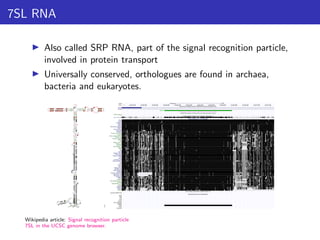 ppgardner-lecture07-genome-function.pdf
