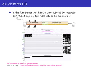ppgardner-lecture07-genome-function.pdf