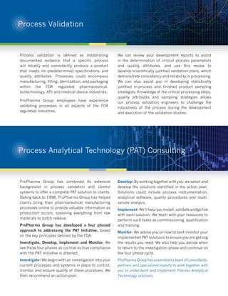 Ppg Capabilities 2010 | PDF