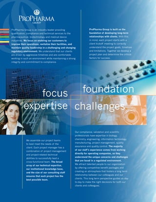 Ppg Capabilities 2010 | PDF