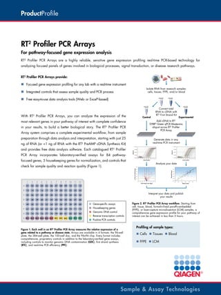Pp gef rt2_profiler_0212_web | PDF