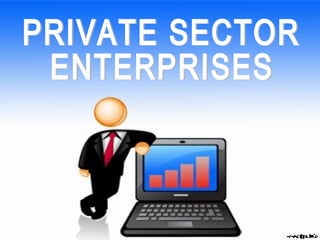 Private Sector Undertaking