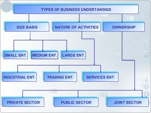 Public and private enterprises
