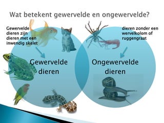 PP gewervelde dieren | PPT