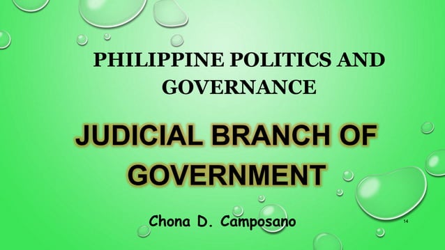 PPG Q3-W9D1-4- judiciary.pptx | Legal Services Industry | Industries
