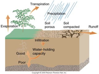 groundwater pollution | PPT