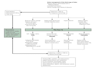 Postpartum Hemorrhage Concept Map