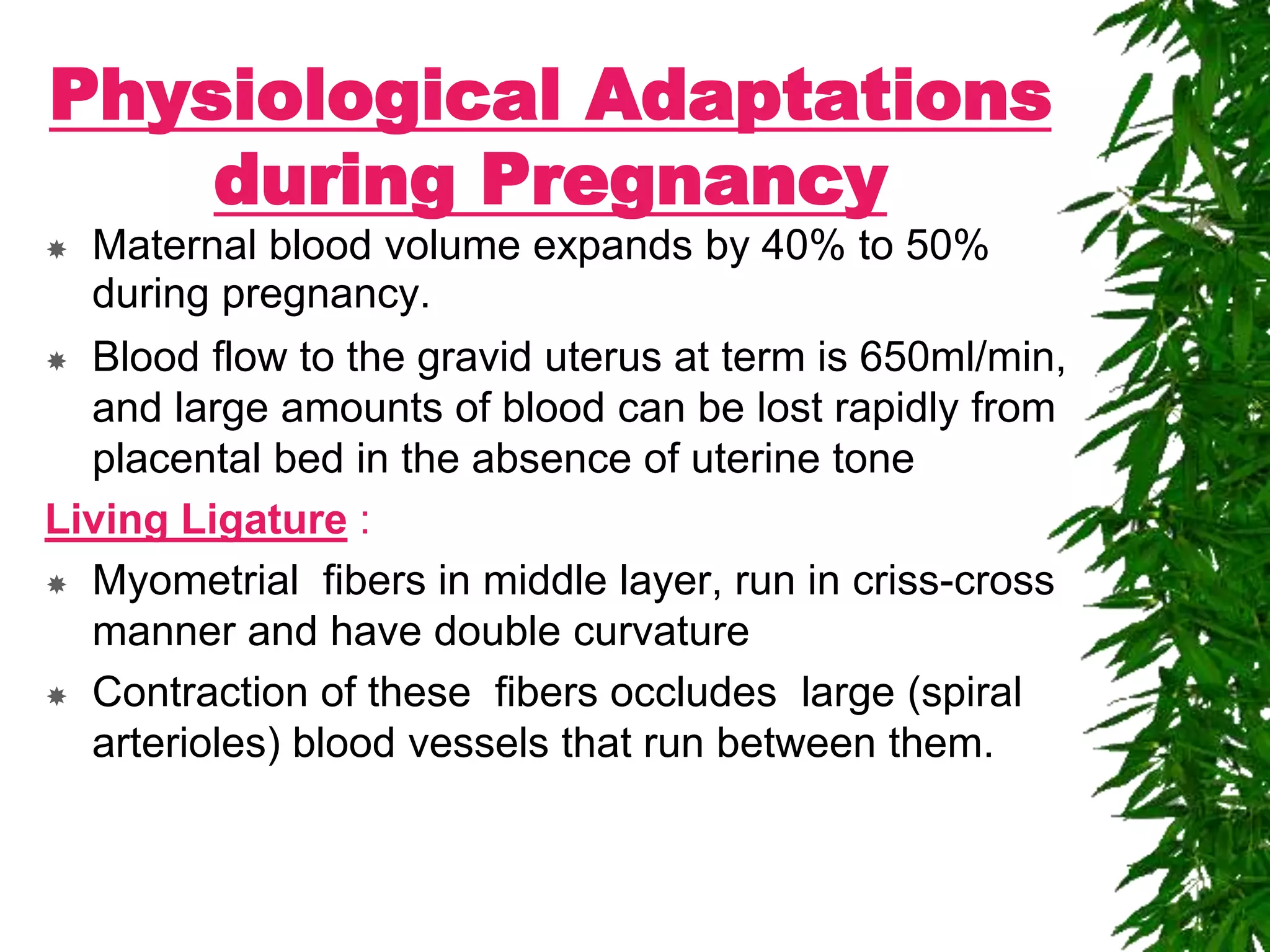 Medical management of Post Partum Haemorrhage | PPTX