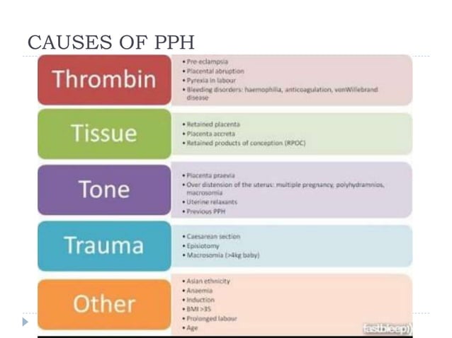 Postpatum Hemorrhage | PPT