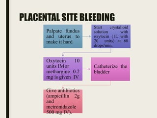 PPH pppppppppppppppppppppppppppppppp.pptx | Pregnancy | Reproductive Health