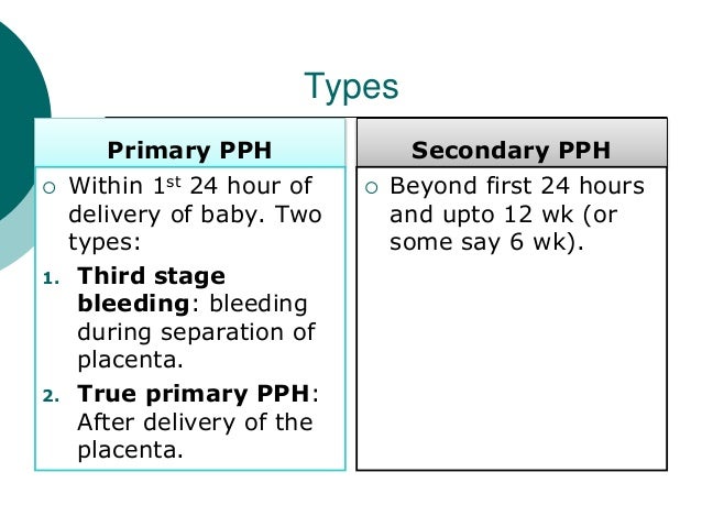 PPH class for undergraduate