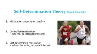 Sports Injury Recovery and Return to Play: Tools for the Practicing ...